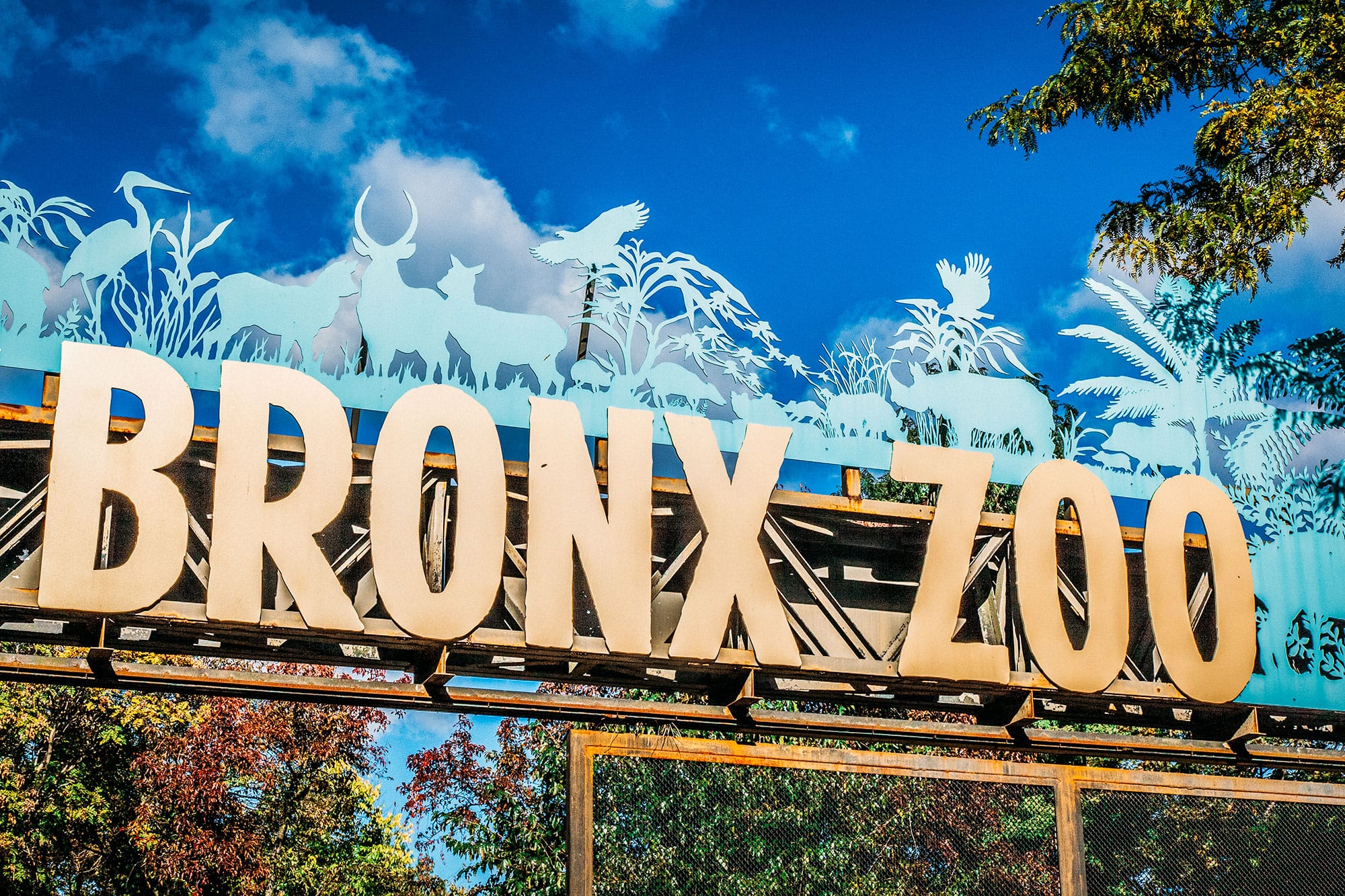 15 Best Things To See & Do In NYC On A Budget (Save Some Money!)