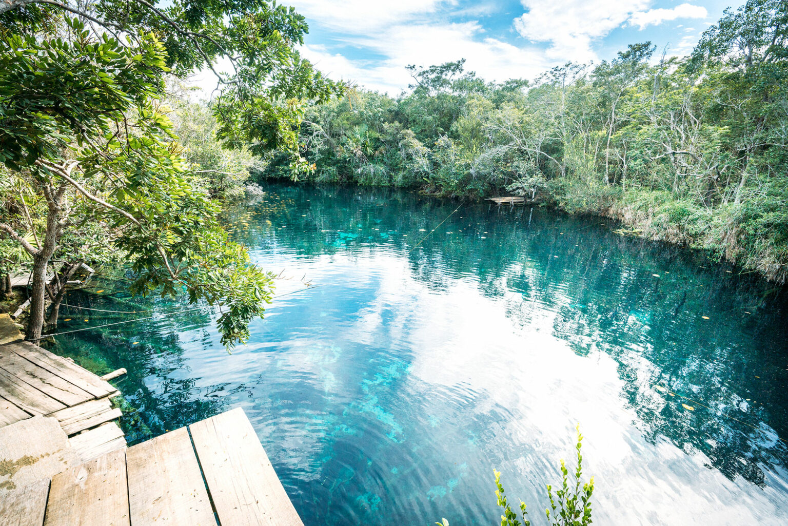 21 Best Cenotes To Visit In Mexico (Tulum, Cancun, Yucatan)