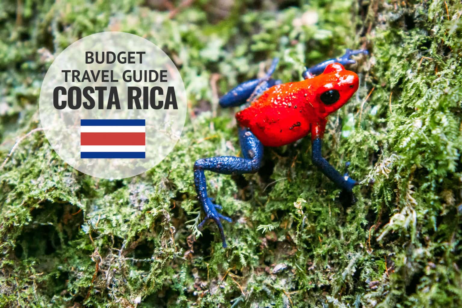 Ultimate Costa Rica Travel Guide For 2021 (Budget Tips & Highlights)