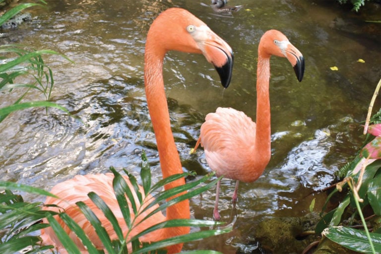 25 Best Activities In Key West (The Conch Republic)