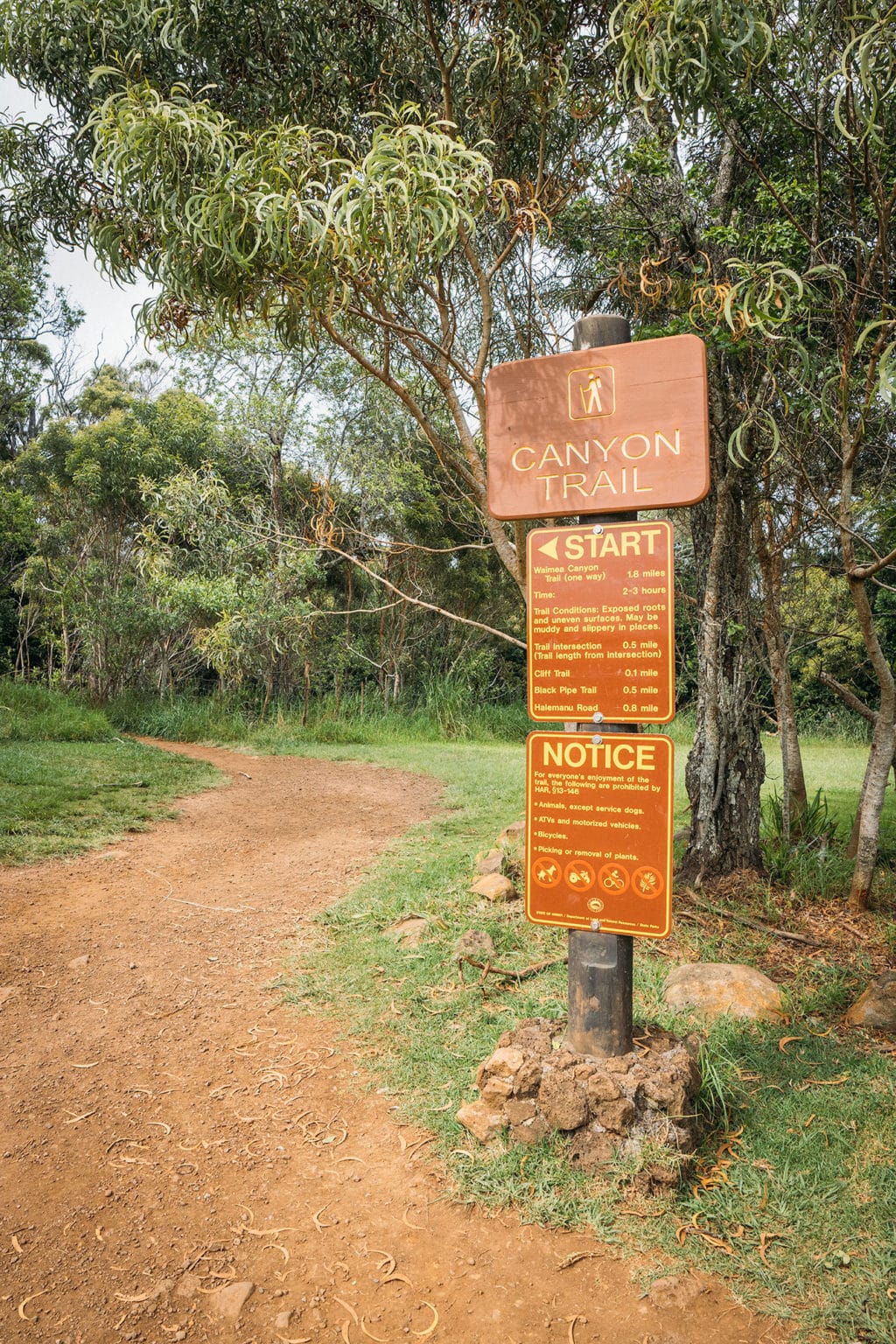Exploring Waimea Canyon: Kauai's Geological Wonder!